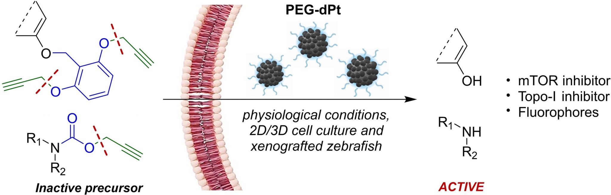 Dendritic Platinum Nanoparticles Shielded by Pt-S PEGylation as ...